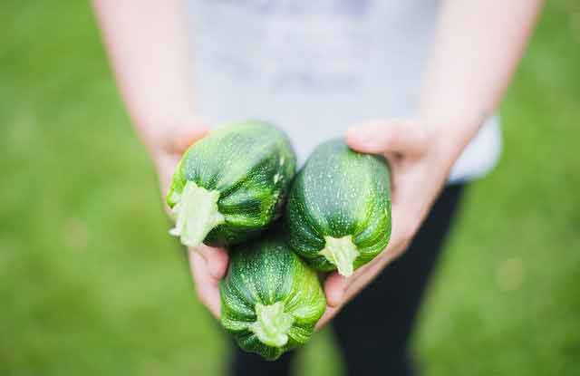 Recette de courgette : 10 façons de se régaler