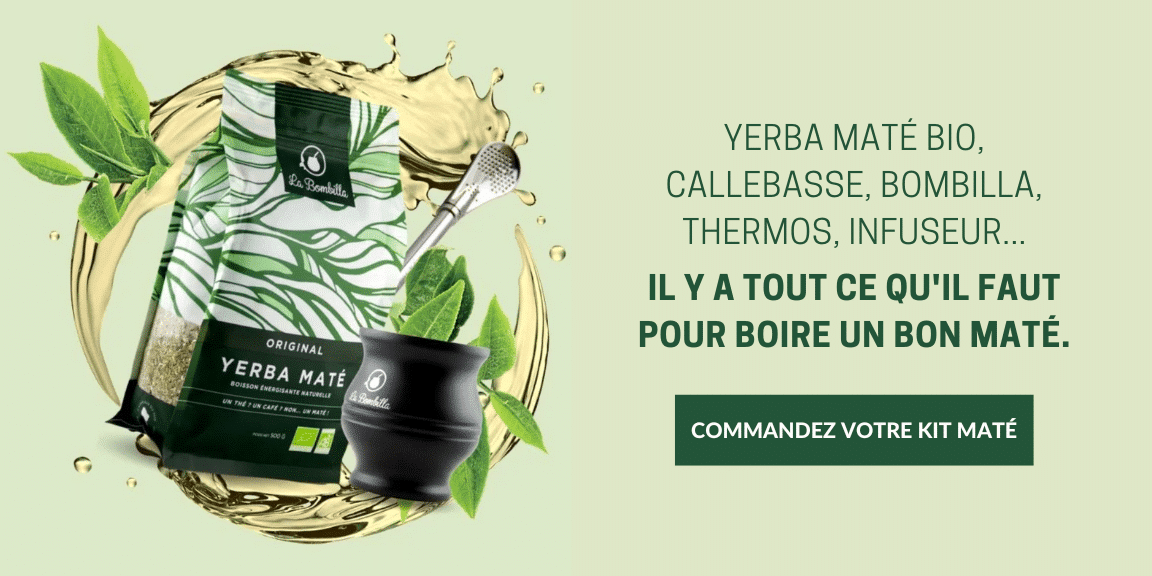 La préparation du yerba maté sans calebasse : mode d'emploi ! | Le Mag DIY